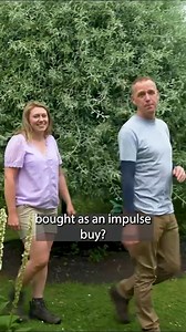 Hot borders, tree pruning and a trip to Calum’s allotment in Leven 🌺 Join Kirsty and Brian on Beechgrove Garden TONIGHT at 8:00pm on BBC Scotland. Don’t worry if you miss us, we're back: 🌳 Sunday at 9:05am on BBC TWO 🌳 Monday at 2:00pm on BBC Scotland And any time on BBC iPlayer. | Beechgrove Garden