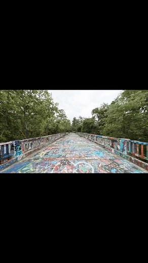 Suwannee Springs Bridge | Turtle Media | Facebook