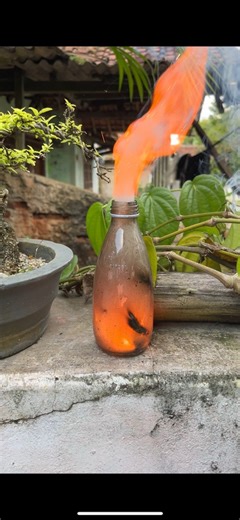 4.5K views · 27 reactions | Firecracker chemist experiment #experiment #diy #faceebookreels #rocket #idea #knowledge #tecnology #shareideas #reelschallenge #entertainment #firecrakers #trandingreels #simpleexperiment #crafts #shares #homedecor #kindnessmatters #handcrafted #videos #handmadecrafts #views | Oppenheimer Jr. | Facebook