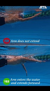 Maybe this tip will help you swim better.#SwimmingTechnique #freestyledrills #swimmingcoach #swimminglesson #swim #swimming #swimlike #swimlife #swimtime #swimteam #funswim #swimmingpools #drillswimming #swimmingday #swimmingtime #swimmingclass #swimmingteam #swimmingtechnique #swimweek #swimcoach #swimmer #swimmers #swimmeet #swimmerlife #swimingboy #freestyleswimming #swimtimelog #swimbravetribe | Swim Time Log