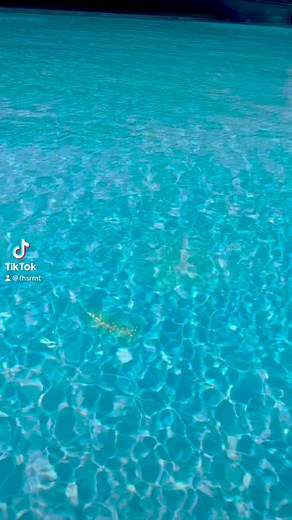 Summer, please don’t leave us! #fairmonthotsprings #fairmonthotspringsresort #fairmontmontana #hotsprings #resort #hotspringsresort #poolday #discoveranacondamt #buttemontana #montana | Fairmont Hot Springs Resort