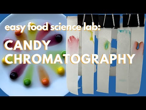 M&M Candy Chromatography [easy and fun science labs]