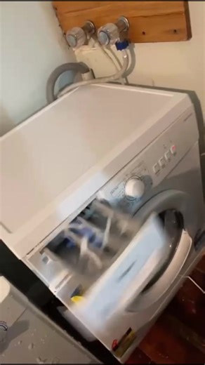 Dance Party with the Washing Machine: Fun Moves!