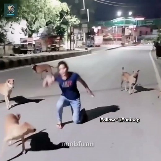 New🤣Funny WhatsApp Status Video | Funny status | Funny video | meme video | Funny Love status