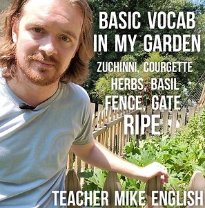 Basic Herb/Vegetable Words: Zucchini, Courgette, Ripe, Basil, Holy Basil, Thai Basil, Fence, Gate I know this video is very simple. I will make a more detailed video with gardening tools, verbs, etc. when it is not so hot outside. | Teacher Mike English