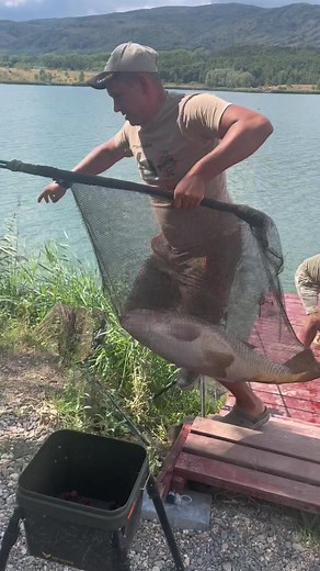 Cristina (@cristinabizovii)’s videos with Frontier (Extended Mix) - VINAI & SCNDL