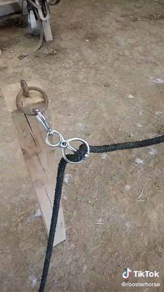 Optimizing Horse Training with a Blocker Tie Ring