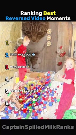 Ranking the Best Reversed Videos 🤯🔄