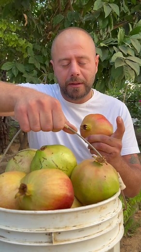 Juicing Fresh Fruits and Making Delicious Molasses