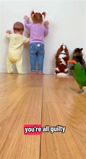 Papagai the Police Officer 👮🦜 #fblifestyle | Royce Inyang