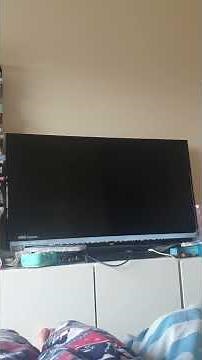 opening to the roly mo show daily mail dvd 2004