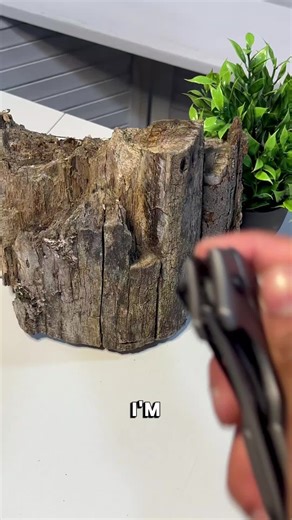 We're going to regret giving these away!#blademysterybox #freeblade #blade #fyp #mysterybox