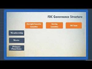 What is Governance Structure?