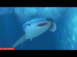 procurando Dory parte 8🌊🐠🐟