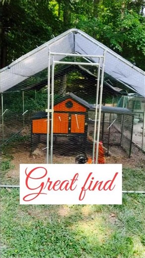 Look at this Large chicken run from Amazon!