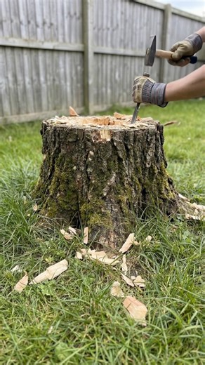From Old Tree Stump to Stunning Garden Planter🌸