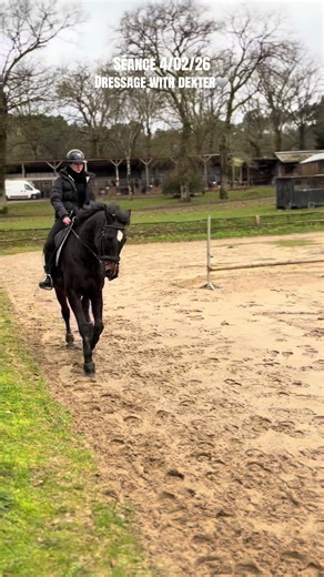 De bonnes choses avec choupi, on commence les éléments pro 3 🤯#galop7 #horsepilot #devoucoux #fyp #veredus