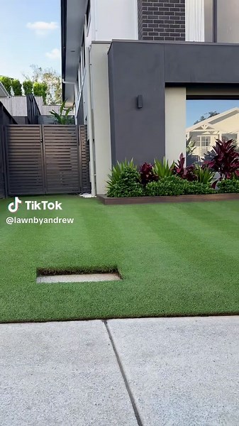 Im playing chess ♟️#lawn #lawntok #tiftuf #bermudagrass #lawnstripes #scottbonnar #plantdoctor