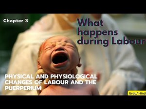 Labor & Puerperium: Full Guide to Physiological Changes, Stages, Complications, and Interventions