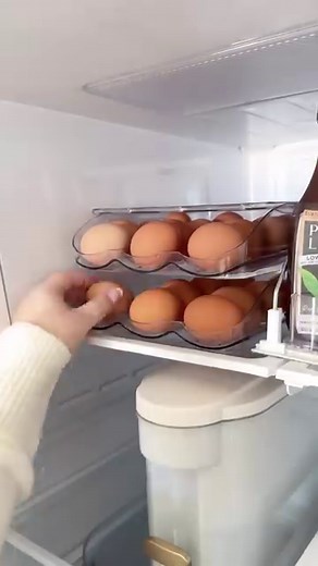 Let’s organize the fridge 🥚🧀🍯 LINKS to shop in comments below! #fridgerestock #fridge #fridgeorganization #organizedhome #amazonfinds #organizingideas | Teresa Caruso
