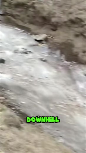 In mountain regions, frozen streams make perfect routes to move logs downhill. #MountainLife #SmartTransport #EcoInnovation #fblifestyle | Metzgerei Ogunquit Studio