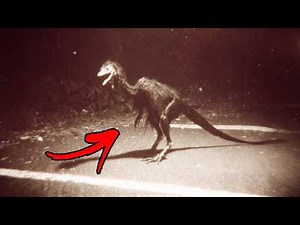 Terrifying Mutant Creatures Caught On Camera For The First Time