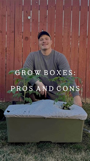 Farmer Jeff on Instagram: "Comment INFO for more details on the pros and cons of the two main grow boxes I’ve used. Self watering containers like this are genius. It’s the same concept that my indoor Click & Grow setup uses with its water tank. I even have a handy neighbor who build his own self watering garden bed that has a water reservoir under the soil. I will make sure to update you how well the EarthBox works for me this season. I didn’t add on the attached trellis yet because I only plant