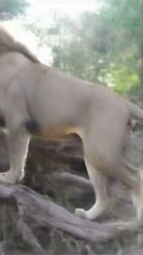 best filter#viral #viralvideo #youtubeshorts #shorts