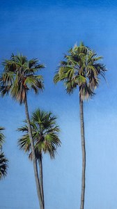 Step by step of drawing palm trees🌴 I love this drawing so much!! It makes me feel so warm and calm🥹✨ I use @prismacolor premier soft core colored pencils and @strathmoreart toned tan paper. All purchased at @blickartmaterials | Deely Drawings