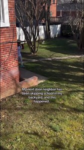 My Next Door Neighbor Keeps Skipping School In My Backyard.. #reelsfb #neighbors #neighborhood | Erick Claros