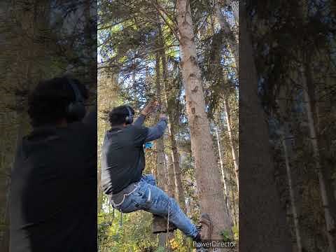 Wild Country Ropeman 1 Ascender Review