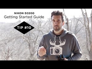 Nikon D3200 Guide - Tip #10 - Zoom In to Check Image Sharpness