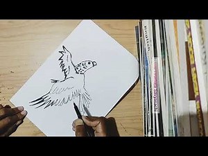How to draw - flying parrot bird