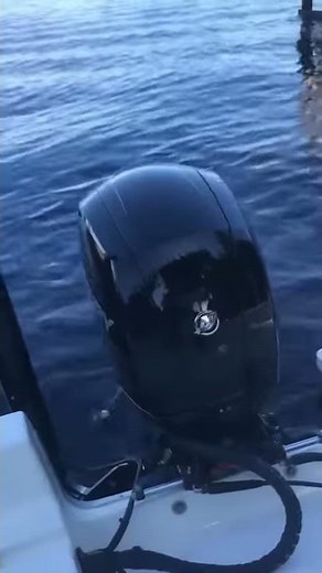 Mercury 4 stroke rough idle (solved)