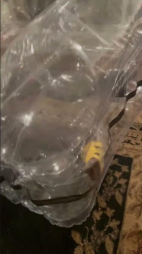 Testing out the first inflatable pvc couch suit