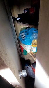 284K views · 3.9K reactions | Worst Mold House Ever! HOLY MOLDY! #realestate #cleveland #Ohio #mold #mask #House #home #toxic #foreclosure #investment #Dangerous #jobs #bad | Property Recovery Agent | Facebook