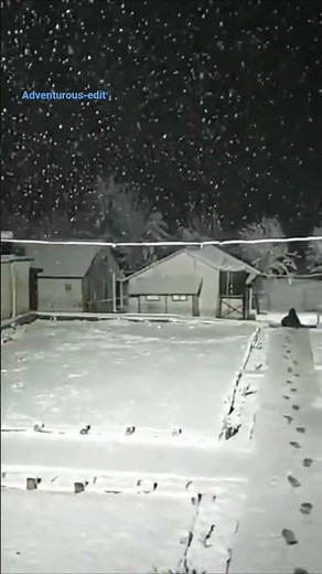 Watch snowflakes🌨️dance in mesmerizing slow motion, turning winter into pure magic. ❄️ #ladakh #snow