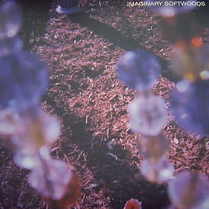 Imaginary Softwoods - The Path Of Spectrolite