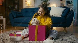 Happy teen girl opening birthday present box, receiving Maltese puppy as a gift