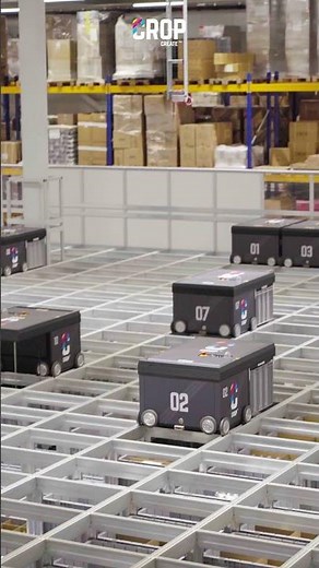 Auto Store Robotics Warehouse: Robotized storage and order picking at CROP
