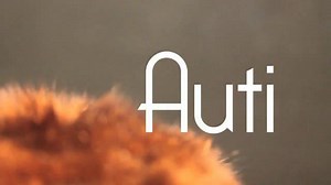 Auti