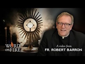 Bishop Barron comments on Eucharistic Adoration