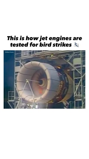 Brilliant Bytes on Instagram: "🔺Engineers fire dead birds into running engines using a special cannon 🐦💥 🔺Tests check if the blades can survive impact without breaking ⚙️ 🔺Engines must keep running safely even after a strike ✅ 🔺It’s one of the toughest safety tests in aviation 🛡️✈️ Every flight you take is backed by tests like these—pushing engines to the limit for your safety. 🛫✨ #explore #facts #didyouknow #knowledge #viral #technology #viralvideos #engineering #behindthescenes #innova