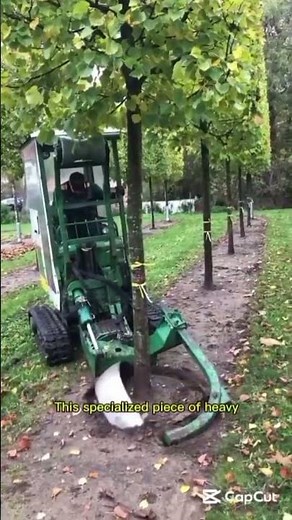 Oddly Satisfying:Transplanting a Tree with a Professional Tree Spade!#farming #TreeTransplanting