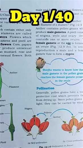 What Is Pollination | Cross Pollination |Difference Between self pollination and Cross Pollination