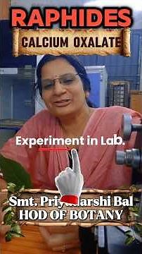 Raphides Needle like calcium oxalate, Experiment in Botany Dept. Lab. RAC