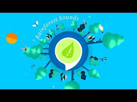 Listen to relaxing sounds with Alexa Skills