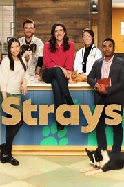 Watch Strays Season 1 Episode 10 - Eggs Anyone?