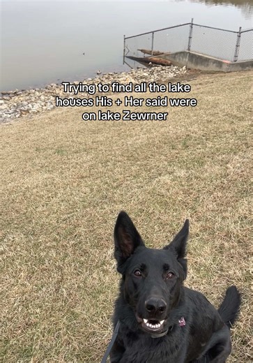 Still looking #hisandher #netflix #dahlonega