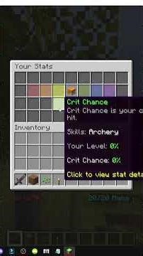 HOW TO UNDERSTAND /stats and STATS in MINECRAFT with AURELIUM SKILLS
